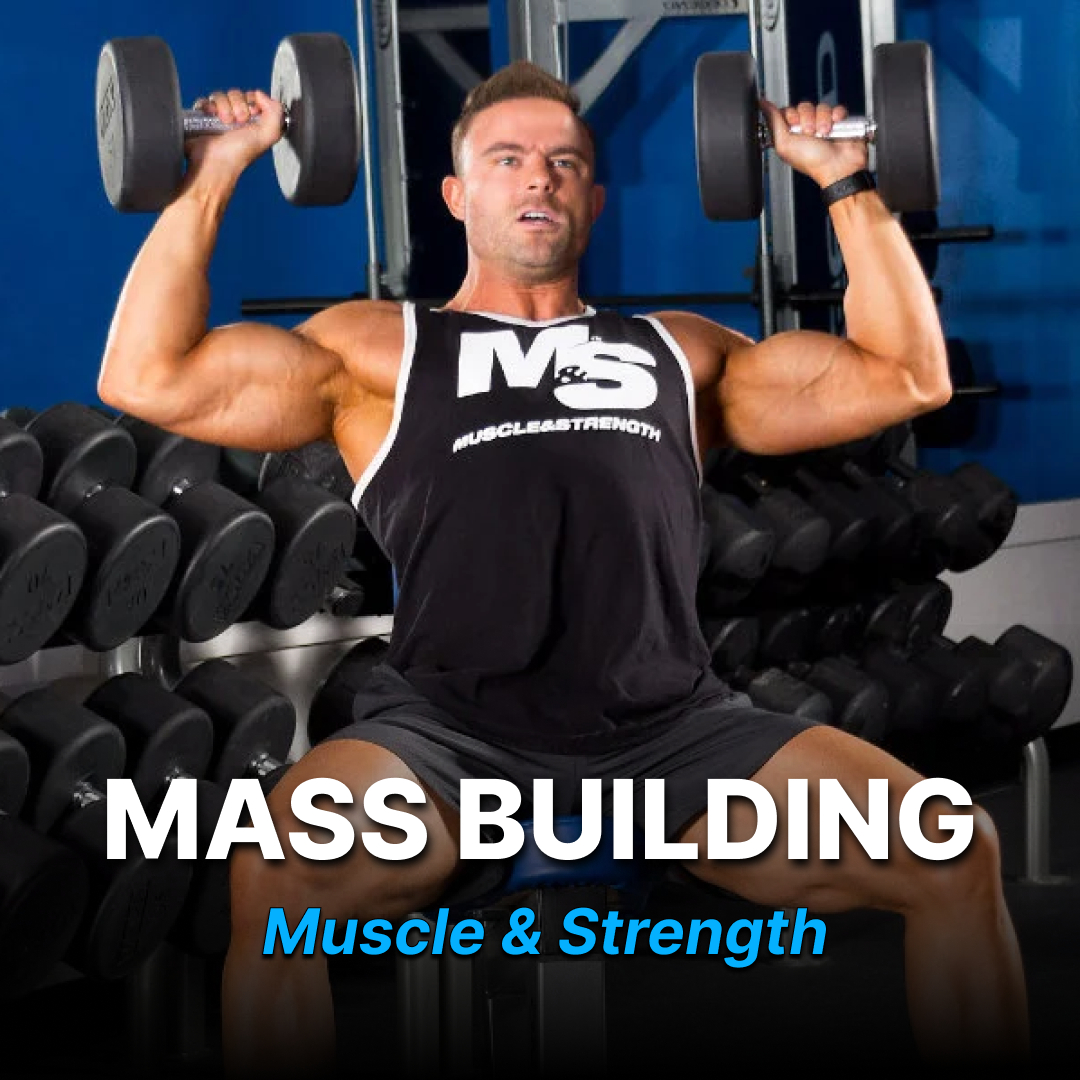 Workout Collections Page 1 | Lyfta